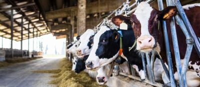 Take the next step - The Agolin Story