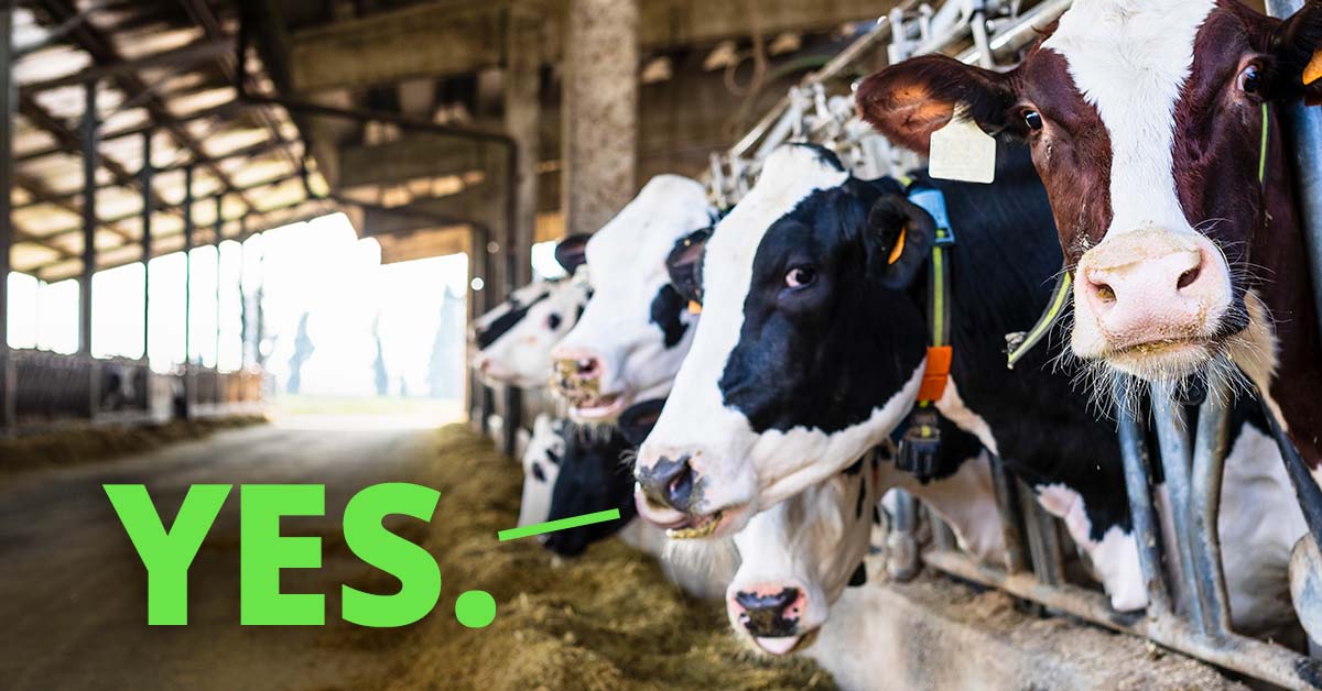 Meta-Analysis - The Agolin Story